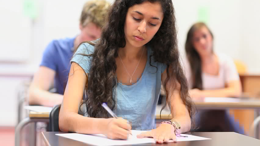 Book report sample Essay